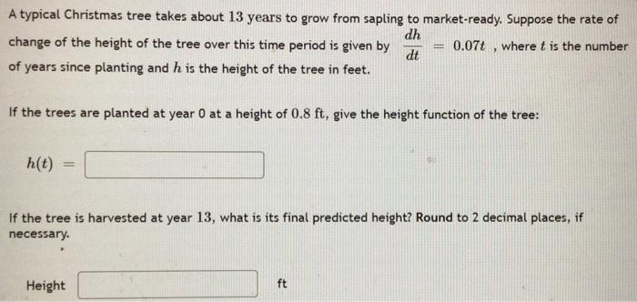 Solved A typical Christmas tree takes about 13 years to grow | Chegg.com