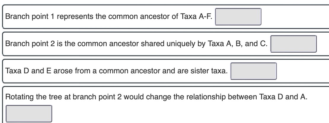 Solved Branch point 1 ﻿represents the common ancestor of | Chegg.com