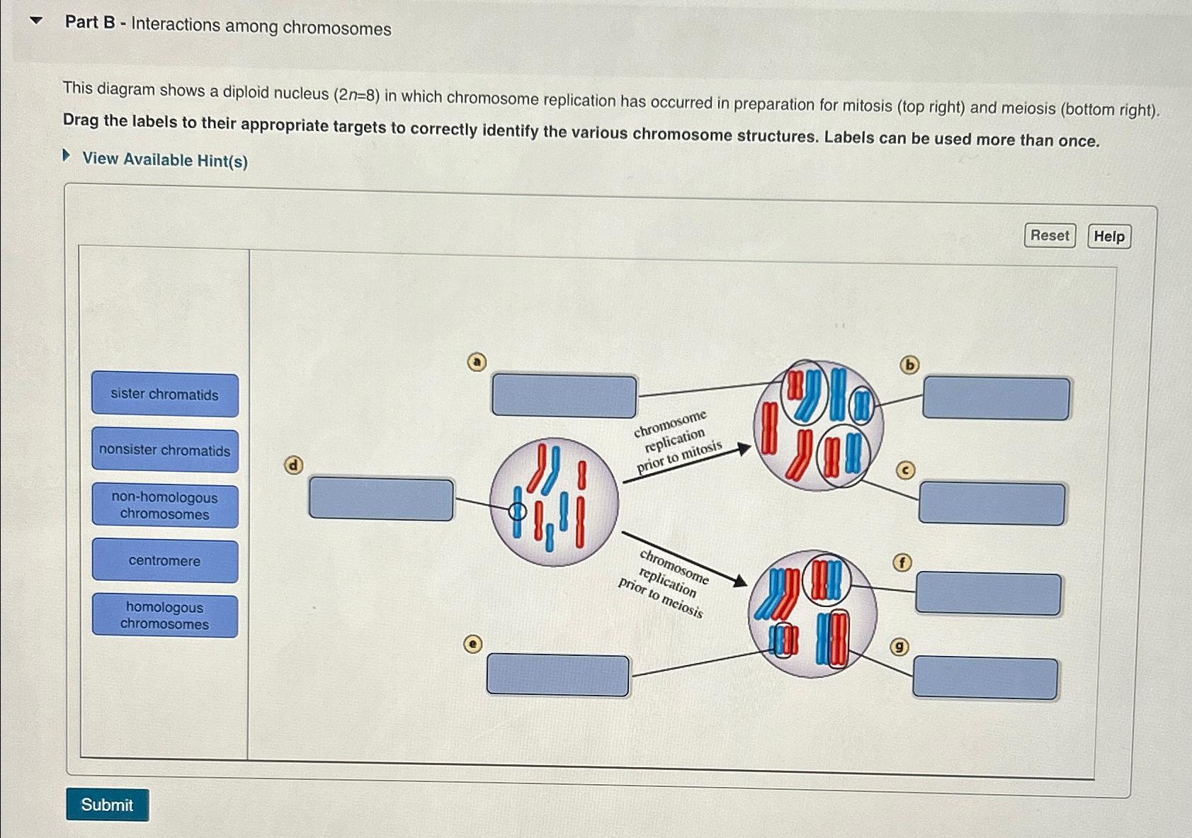 Solved Part B - ﻿Interactions among chromosomesThis diagram | Chegg.com