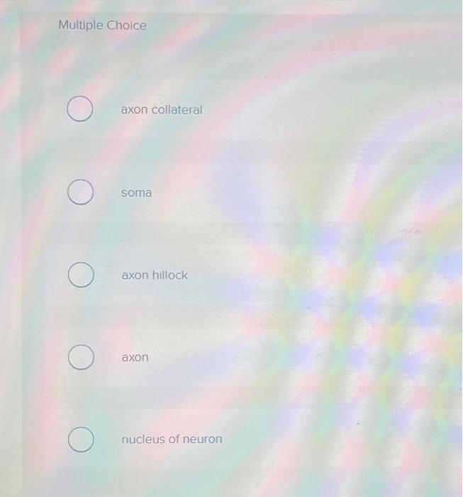 Solved Which structure is hiahliahted? Multiple Choice | Chegg.com