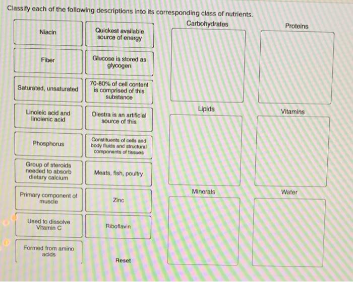 Solved Classify each of the following descriptions Into its | Chegg.com