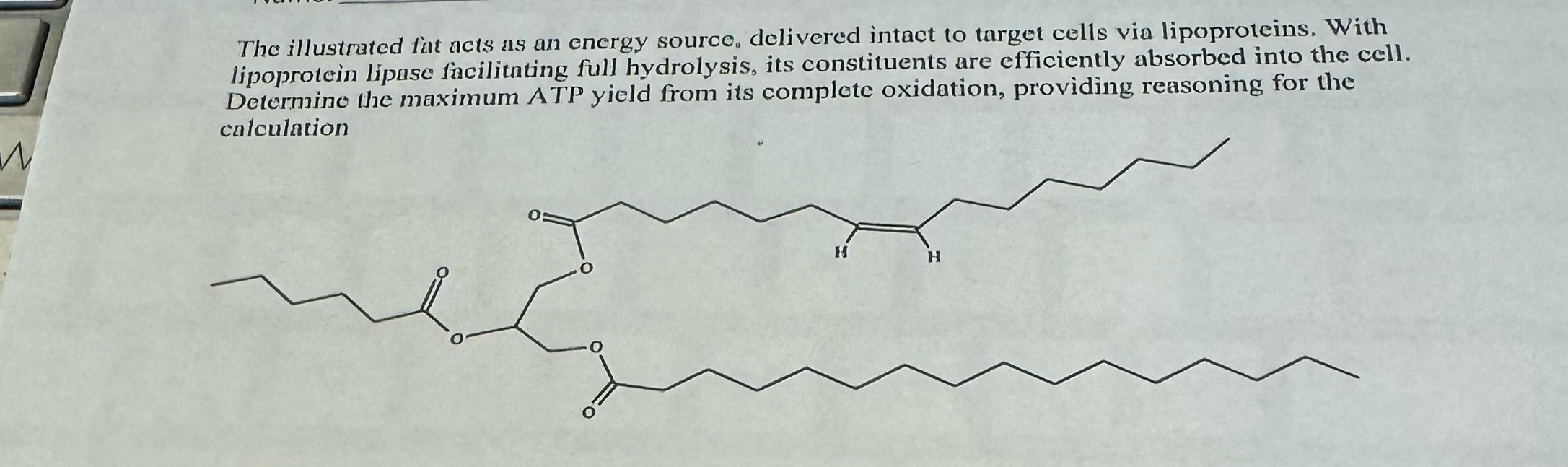 Solved The illustrated fat acts as an energy source, | Chegg.com