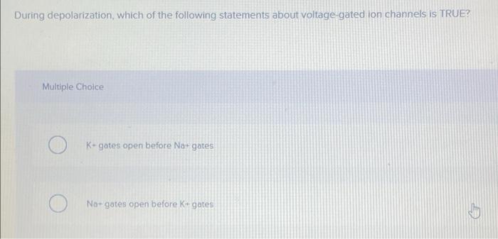 Solved During depolarization, which of the following | Chegg.com