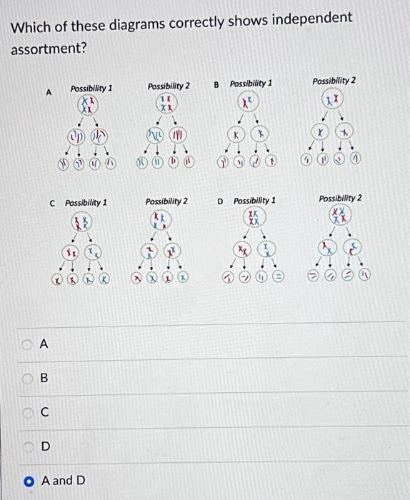 Which of these diagrams correctly shows independent | Chegg.com