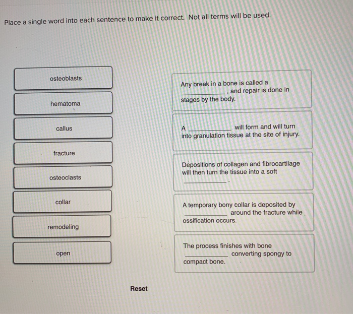 Solved Place a single word into each sentence to make it | Chegg.com
