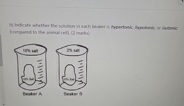 Solved b) ﻿Indicate whether the solution in each beaker is | Chegg.com