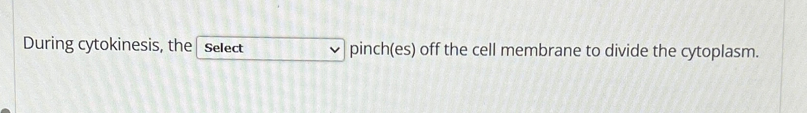 Solved During cytokinesis, the pinch(es) ﻿off the cell | Chegg.com