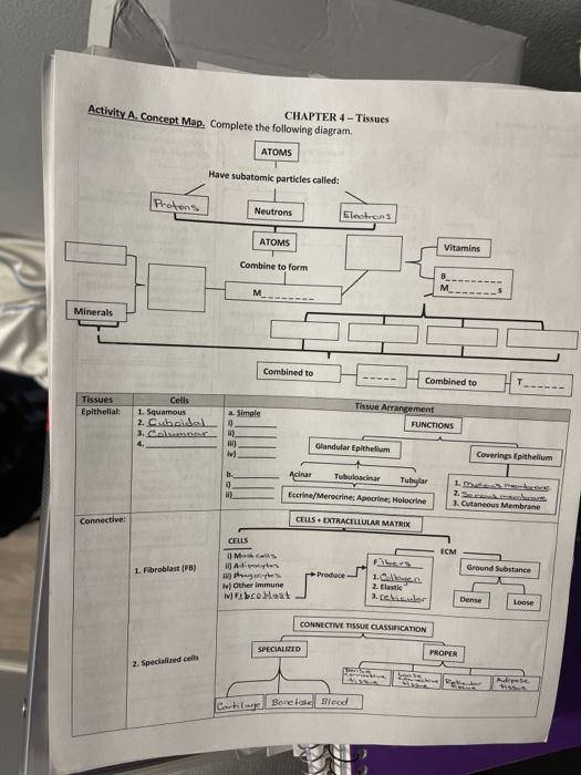 Solved Activity A. Concept Map. Complete the following | Chegg.com