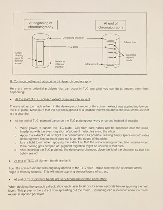 Solved ONL Lab 7: Thin layer chromatography (TLC) Objectives | Chegg.com