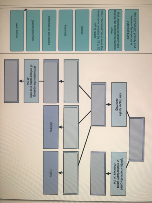 Solved that increase(s) polarity and lower(s) the membrane | Chegg.com