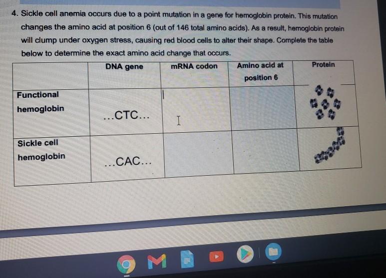 Solved 4. Sickle cell anemia occurs due to a point mutation | Chegg.com