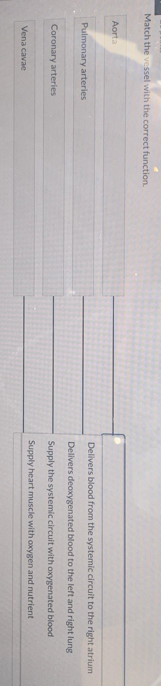 Solved Match the vessel with the correct | Chegg.com