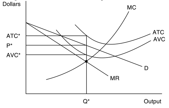 Chapter 11 Solutions | Economics 6th Edition | Chegg.com