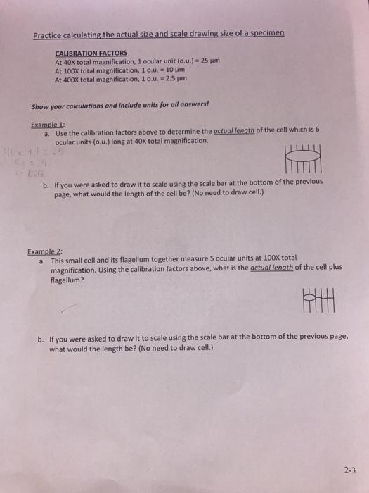 Solved Practice calculating the actual size and scale | Chegg.com