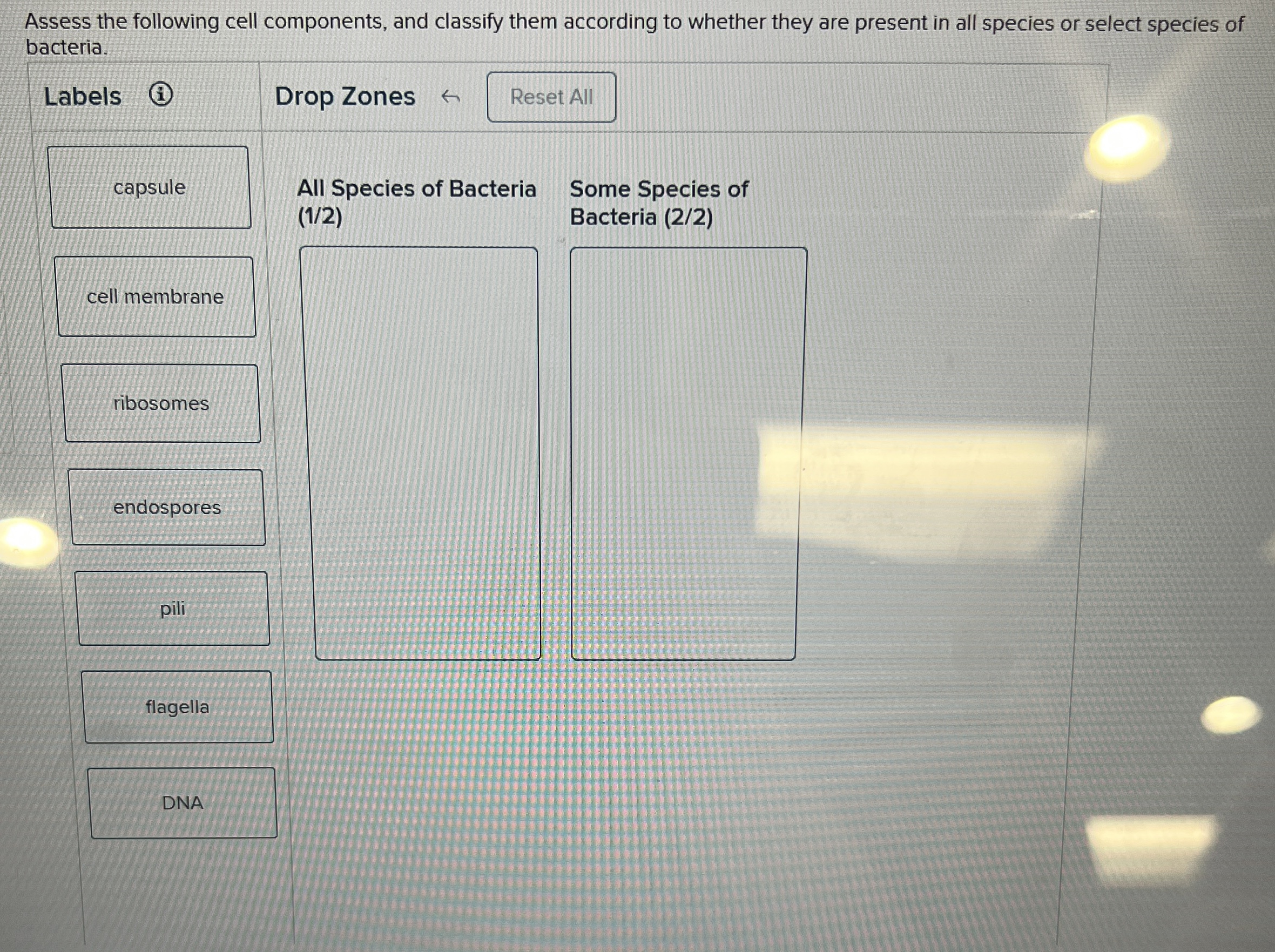 Solved Assess the following cell components, and classify | Chegg.com