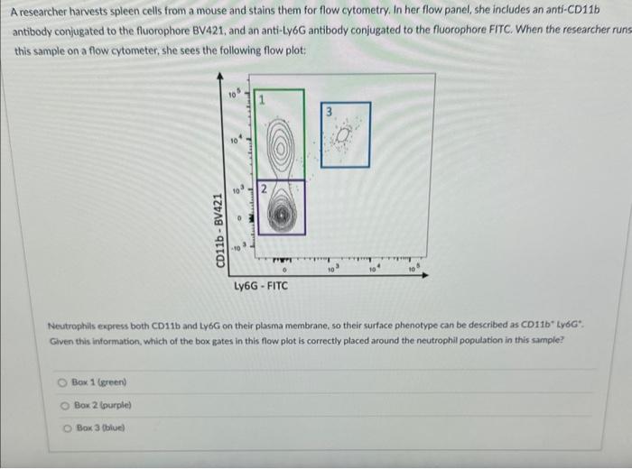 Solved A researcher harvests spleen cells from a mouse and | Chegg.com