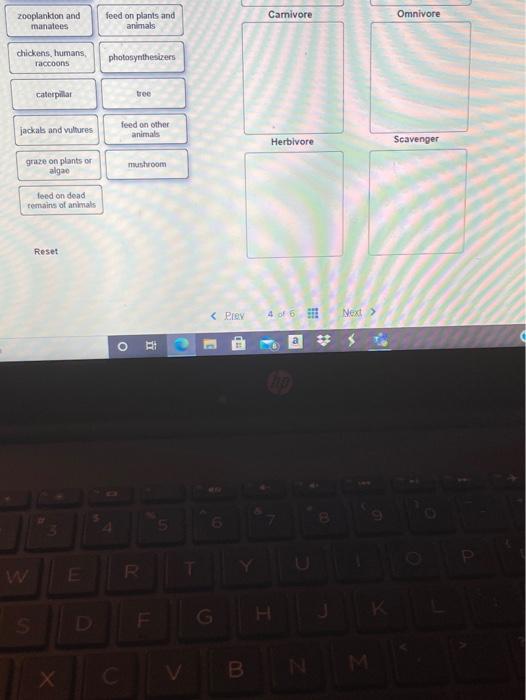 Solved Biotic components Classify the following biotic | Chegg.com