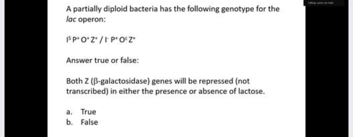 Solved A partially diploid bacteria has the following | Chegg.com
