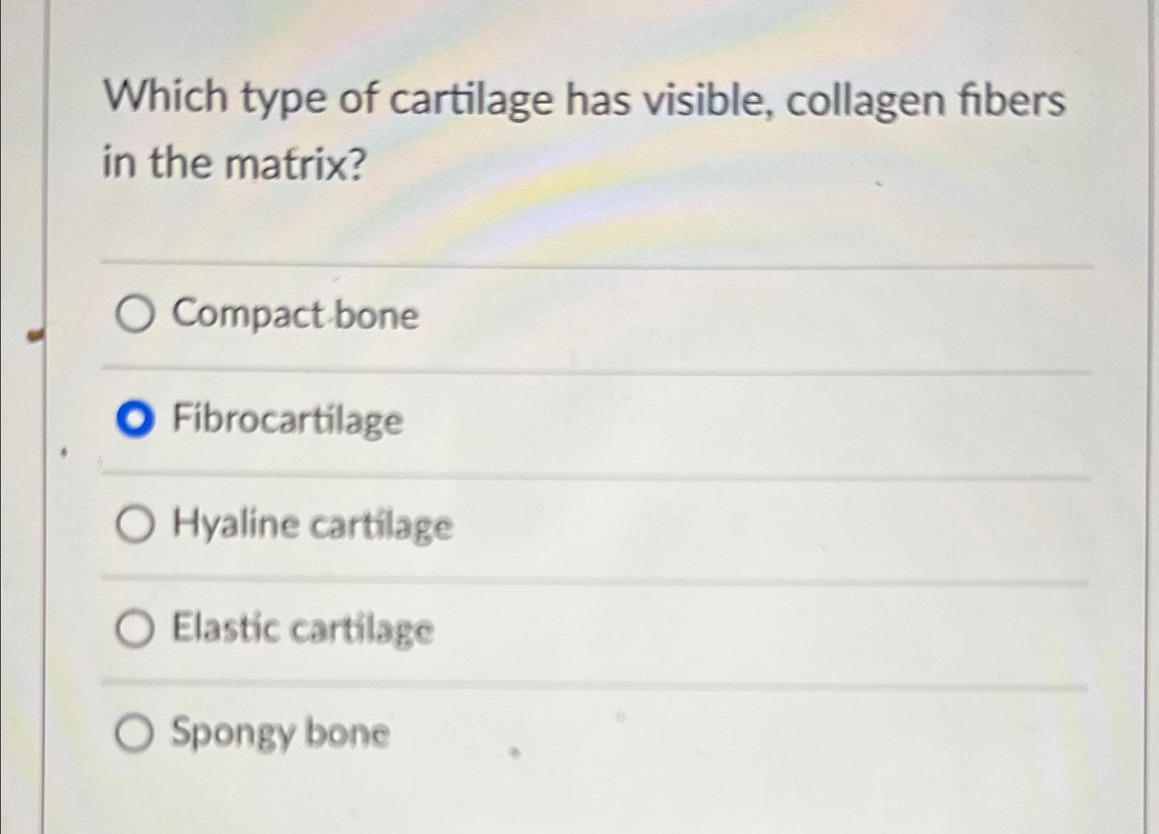 Solved Which type of cartilage has visible, collagen fibers | Chegg.com
