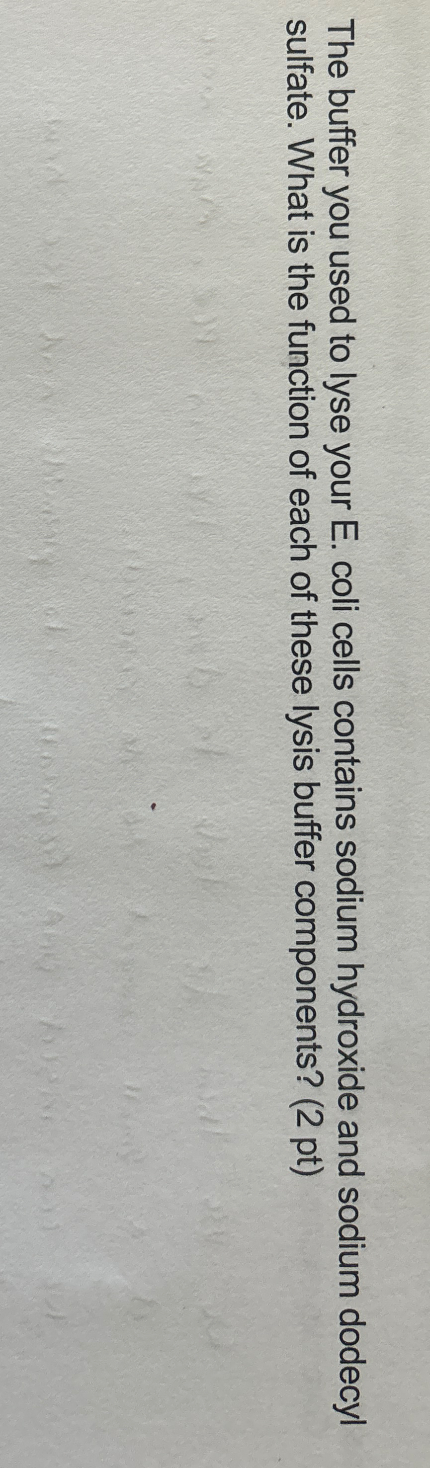 Solved The buffer you used to lyse your E. ﻿coli cells | Chegg.com