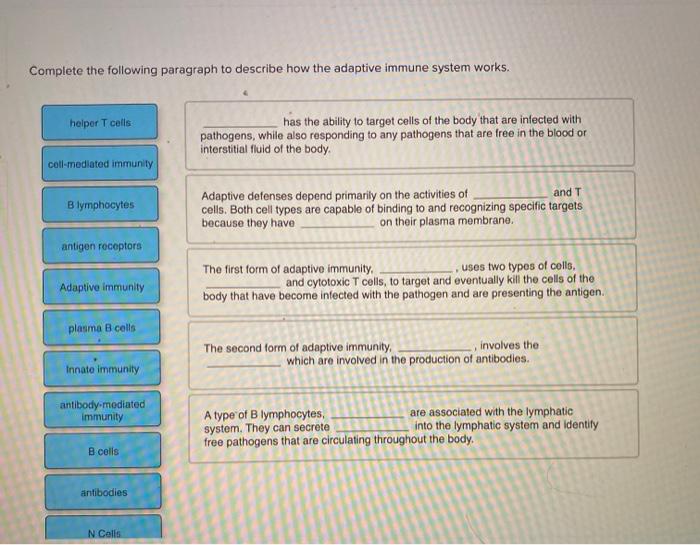 Solved Complete the following paragraph to describe how the | Chegg.com