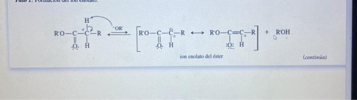 Solved ion enolato del ester | Chegg.com