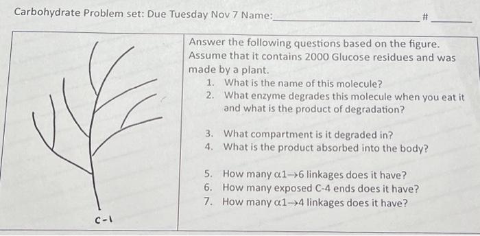 Solved Carbohydrate Problem set: Due Tuesday Nov 7 Name: C-1 | Chegg.com
