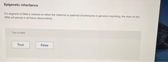 Solved Epigenetic inheritance If a segment of DNA is marked | Chegg.com