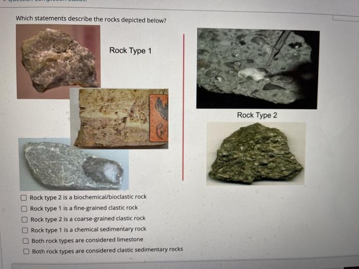 Solved Which statements describe the rocks depicted below? | Chegg.com