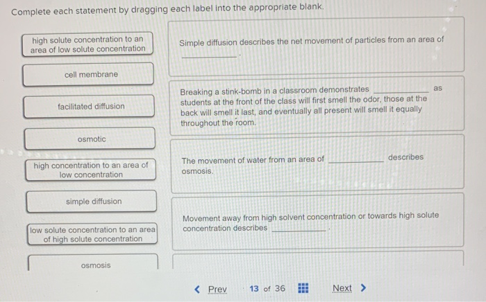 Solved Complete each statement by dragging each label into | Chegg.com