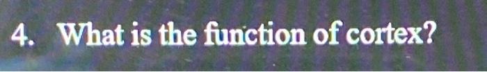 Solved 4. What is the function of cortex? | Chegg.com