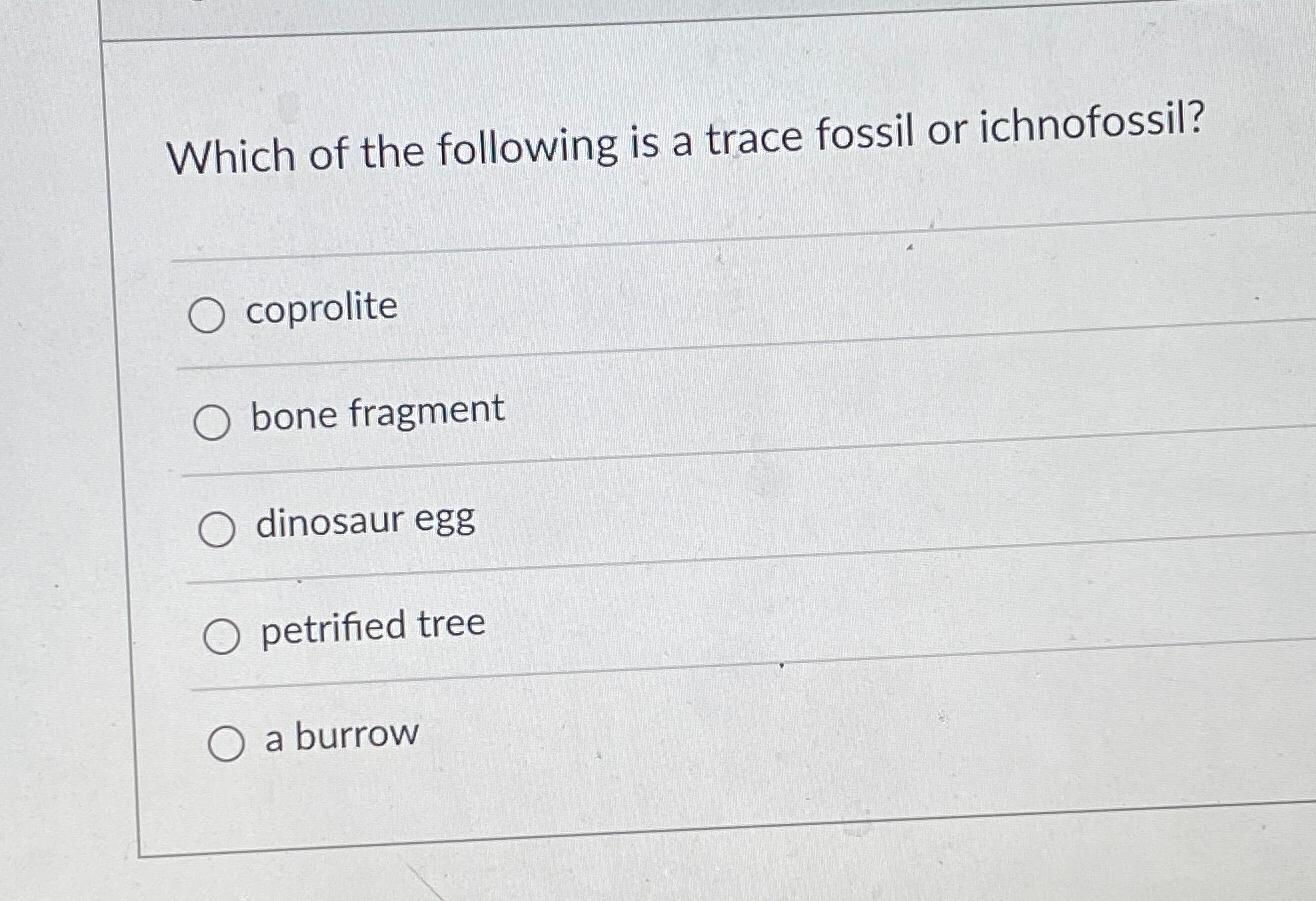 Solved Which of the following is a trace fossil or | Chegg.com