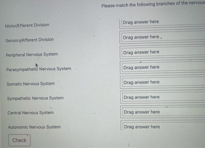 Solved Please match the following branches of the nervous | Chegg.com