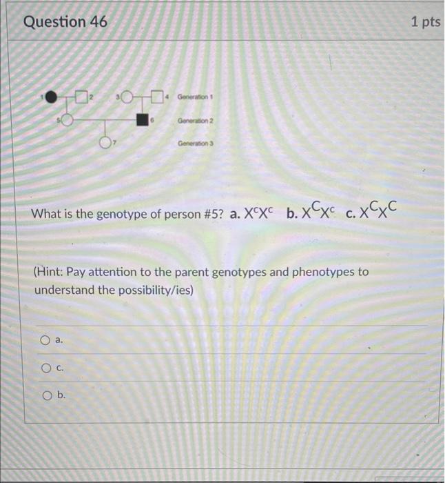 Solved What is the genotype of person \#5? a. XCXc b. XCC c. | Chegg.com