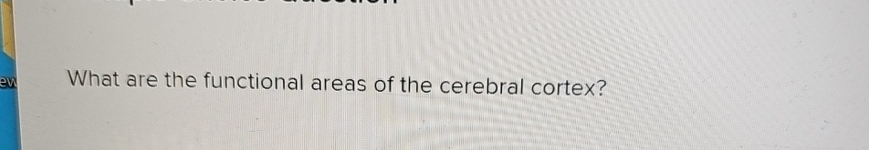 Solved What are the functional areas of the cerebral cortex? | Chegg.com