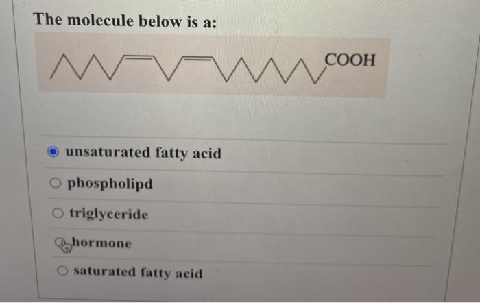 Solved The molecule below is a: COOH W COO o unsaturated | Chegg.com