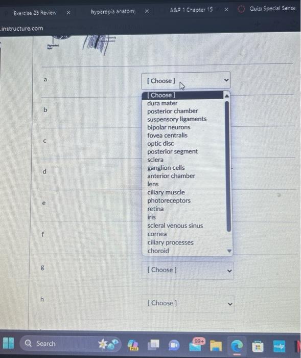 Solved Match the following structures in the diagram with | Chegg.com