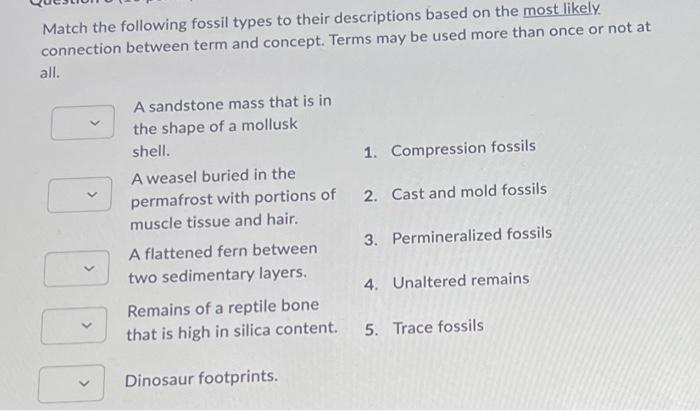 Solved Match The Following Terms With The Description Or