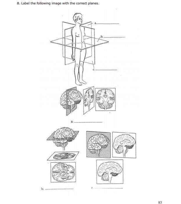 Solved 7. Label the following image with the correct | Chegg.com