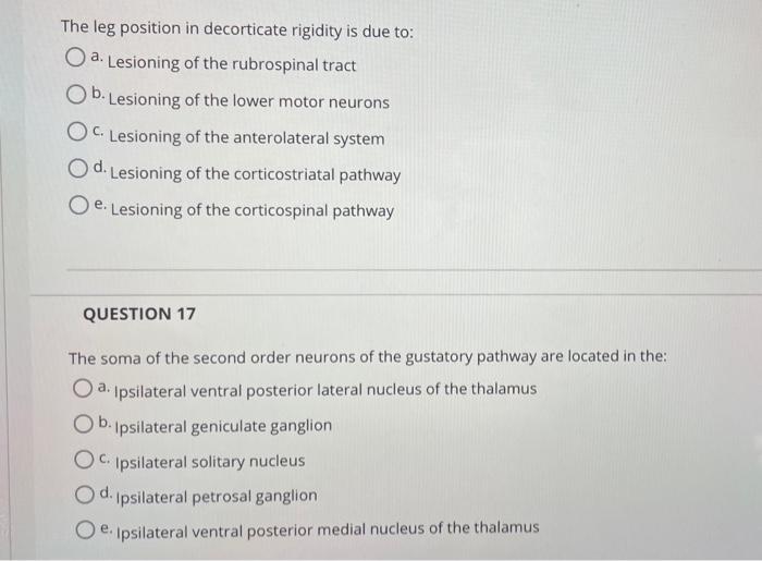 Solved The leg position in decorticate rigidity is due to: O | Chegg.com