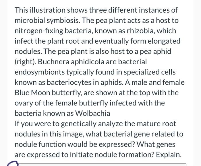 Solved This illustration shows three different instances of | Chegg.com