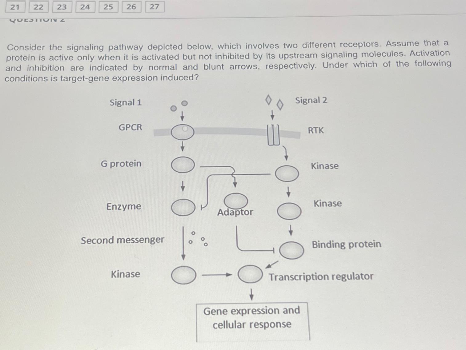 Solved 21222324252627Consider the signaling pathway depicted | Chegg.com
