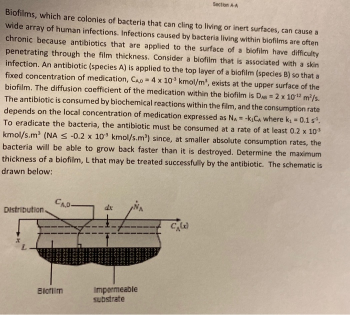 Solved Section AA Biofilms, which are colonies of bacteria | Chegg.com