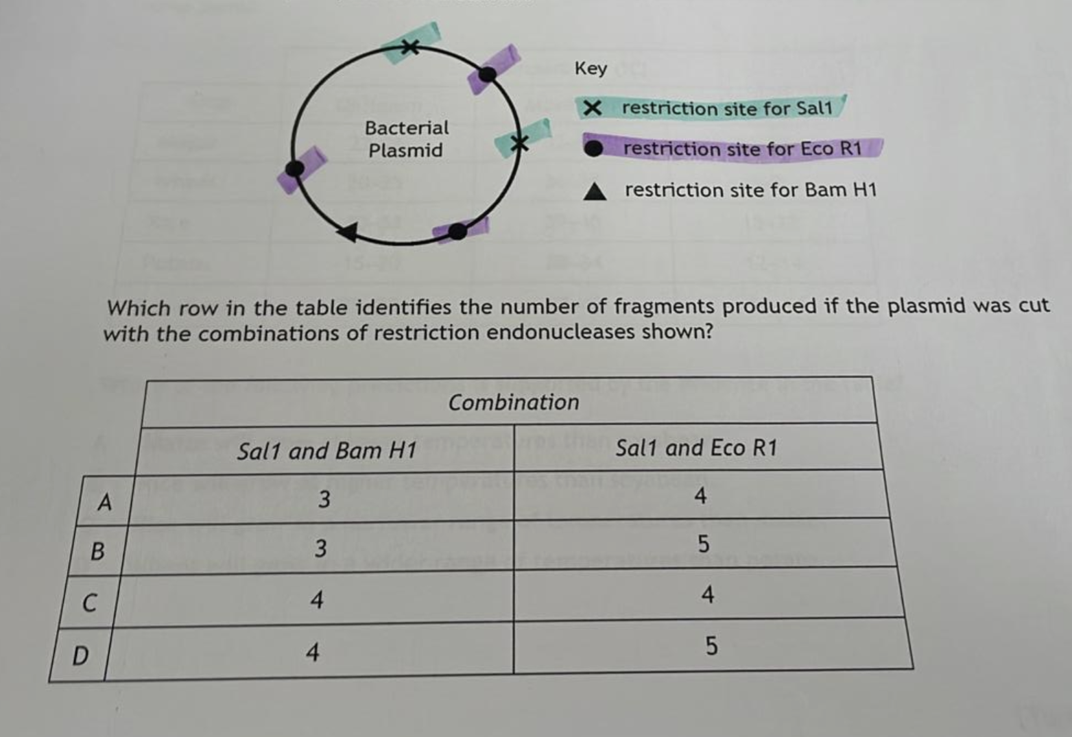 Key restriction site for Sal1 restriction site for | Chegg.com