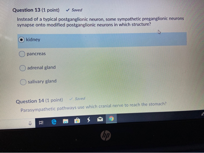 Solved Question 13 (1 point) Saved Instead of a typical | Chegg.com