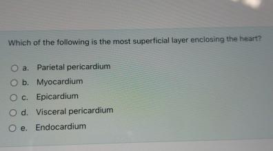 Solved Which of the following is the most superficial layer | Chegg.com