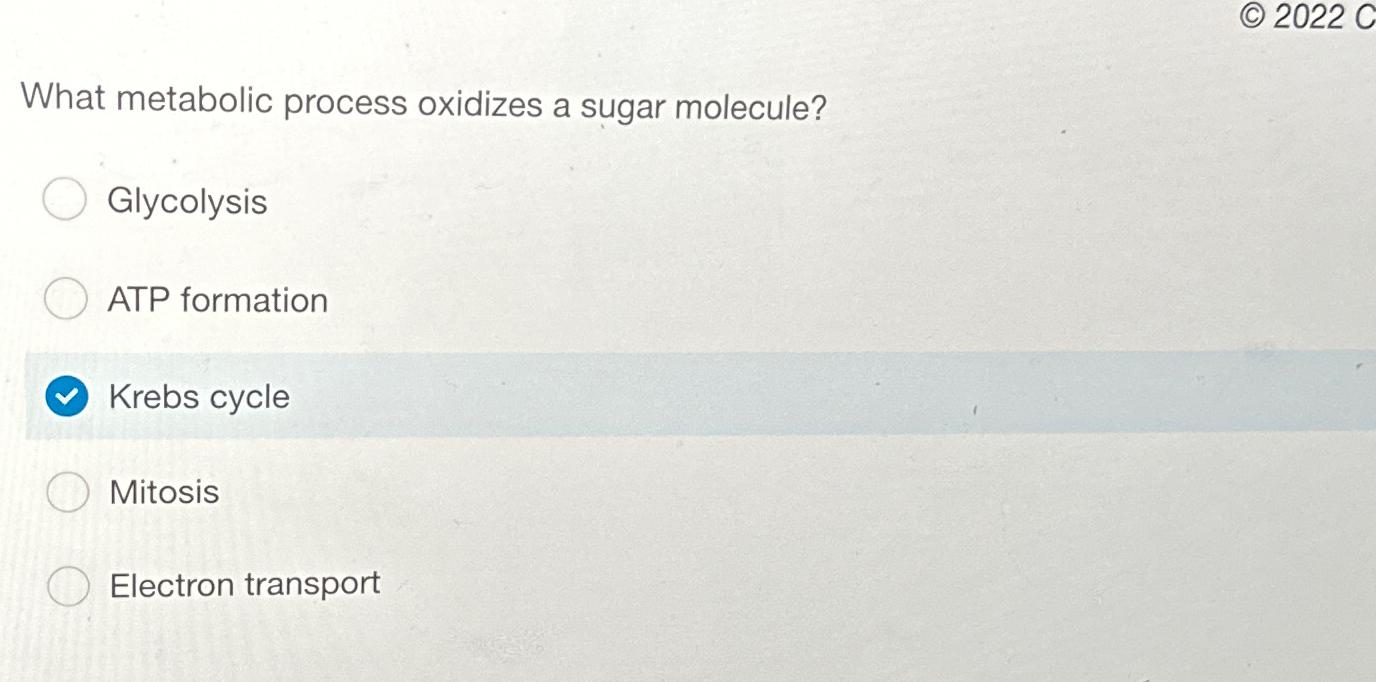 Solved (C) 2022 ﻿CWhat metabolic process oxidizes a sugar | Chegg.com