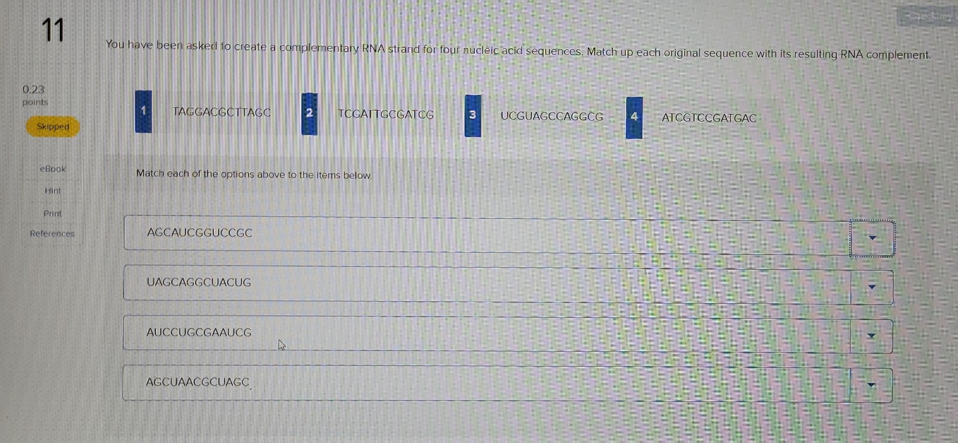Solved 11 You have been asked to create a complementary RNA | Chegg.com