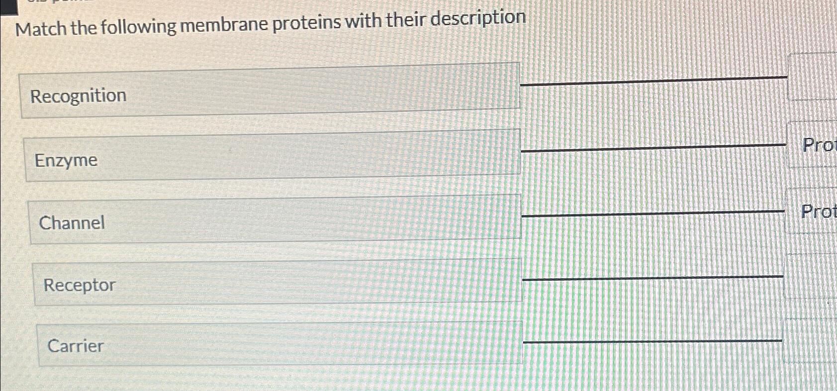 Solved Match the following membrane proteins with their | Chegg.com