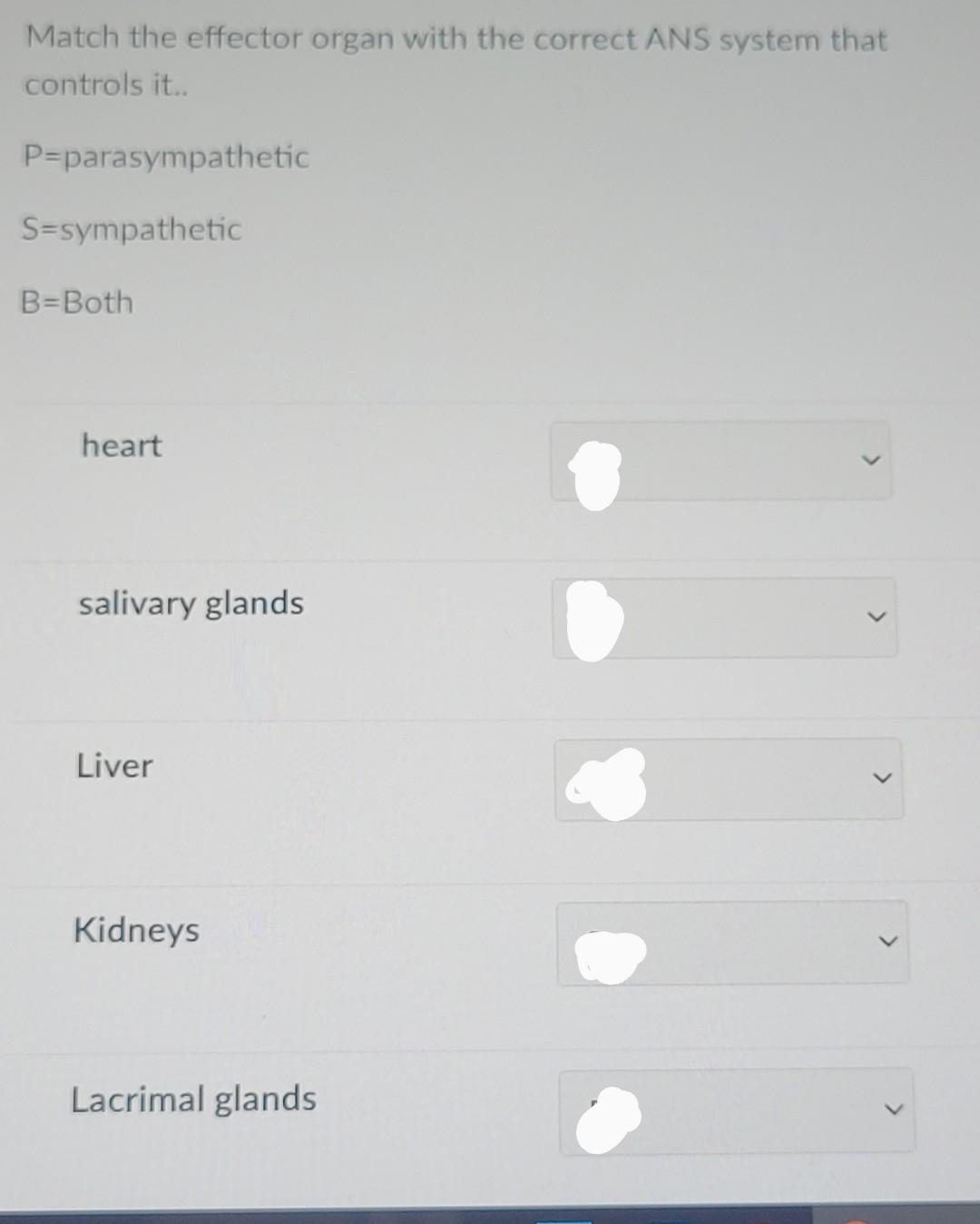 Solved Match the effector organ with the correct ANS system | Chegg.com